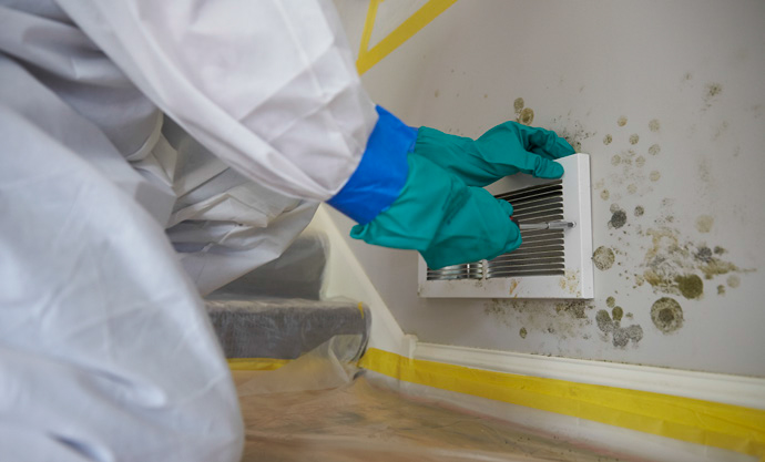Mold Versus Mildew | ServiceMaster Remediation Services